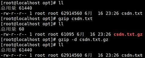 linux 目录结构、查看文件、压缩以及vi编辑器 linux 查看目录结构 csdn博客