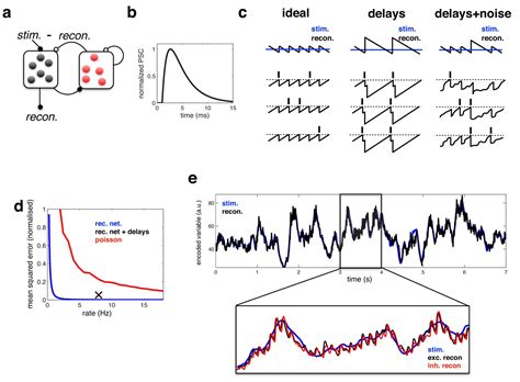 Neural Oscillations As A Signature Of Efficient Coding In The Presence