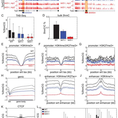 Global Loss Of 5hmc In Tet2 −− Mouse Es Cells A B Dna Methylation