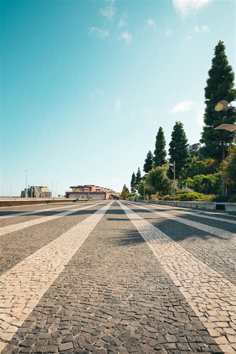 가이드 거리 건축 경치 경치가 좋은 고요한 관광 구름 구름 벽지 구름 하늘 나무 나무들이 늘어서 있다 낮 녹지 도시 디자인 등산 로드 트립