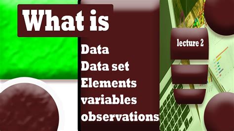 statistical concepts data types in statistics elements variables