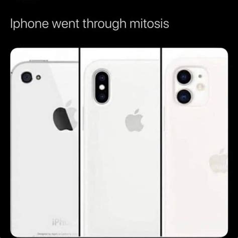 Iphone Meme R Biologymeme