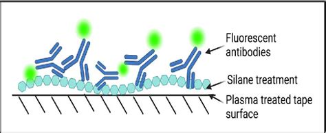 Figure 2 From Emerging Ocean Contaminant Sensing Using Antibody Based Optical Detection