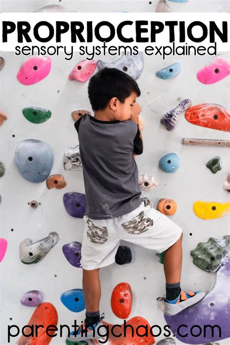 Sensory Systems Explained What Is Proprioception Sensory System