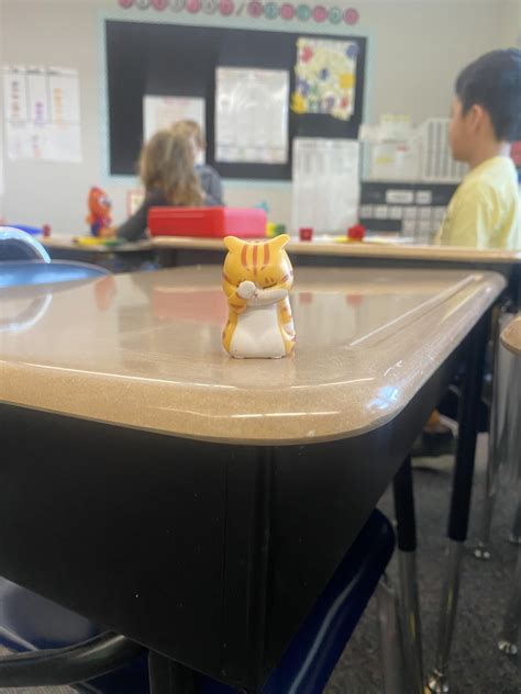 Cat Award Classroom Management Toolbox