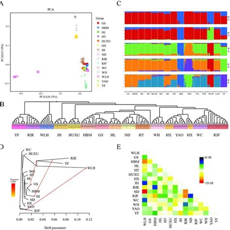 Population Structure And Gene Flow Analysis Of All Chicken Individuals