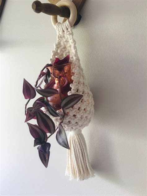 Macrame Hanging Pod Plant Hanging Hanging Basket Macrame Etsy