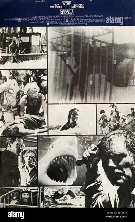 Roy Scheider Robert Shaw Richard Drefuss Lorraine Gary And Susan
