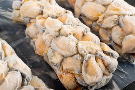 Packed Frozen Mussels Frozen Peeled Mussel Mussels Meat Iced Seafood