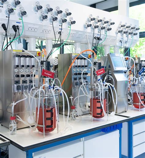 Intravacc Upstream Processing