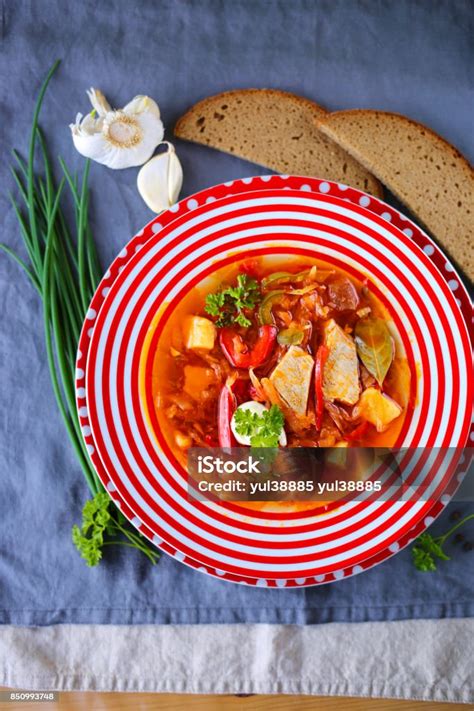 녹색 양파 파 슬 리와 어두운 회색 리넨 냅킨에 사 우 어 크림 스트라이프 레드화이트 접시에 돼지고기 전통적인 우크라이나 러시아 야채 보르시 수프입니다 고기 야채 수프입니다