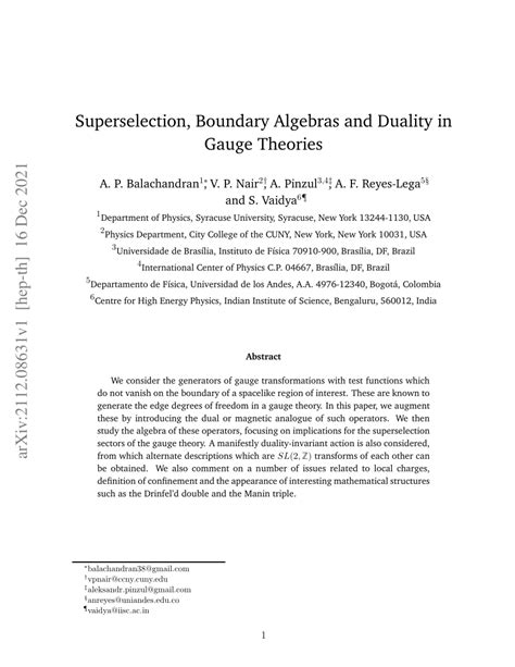 Pdf Superselection Boundary Algebras And Duality In Gauge Theories