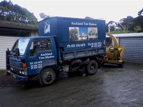 Arborist Auckland North Shore Rodney Auckland Tree Masters