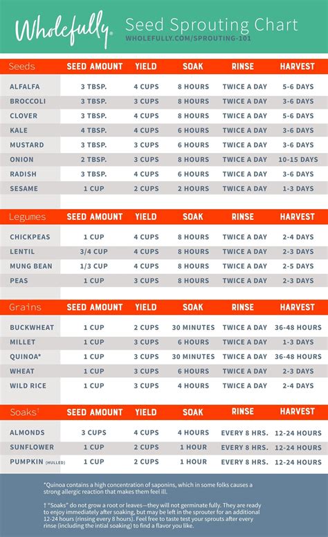 Sprouts Apple Chart At Rebecca Leon Blog