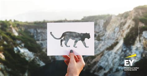 Piotr Machowski On Linkedin How Do You Drive Your Digital Transformation Without The Right Engine