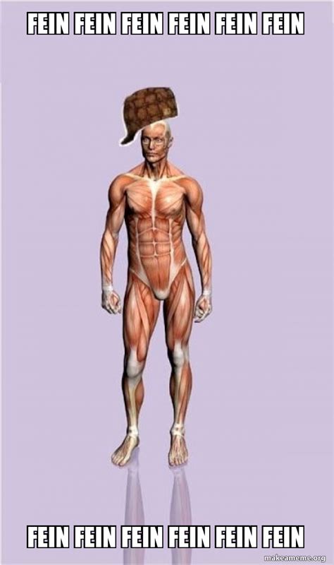 Fein Fein Fein Fein Fein Fein Fein Fein Fein Fein Fein Fein Scumbag