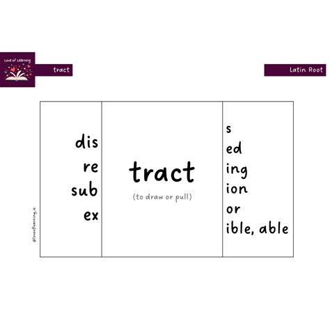 Mash 3rd 4th Class Morphology Word Matrices Latin Roots