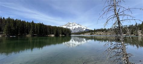 Johnson Lake Alberta Canada 2413 Reviews Map Alltrails