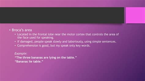 Chapter 3 Section 2 The Brain Our Control Center Ppt Download