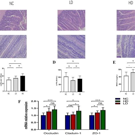 Effects Of Dietary Supplementation With Probiotics On Immune Related Download Scientific