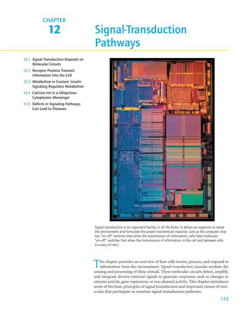 Pdf 12 Signal Transduction Pathways Minificciones … Chapter 12 12