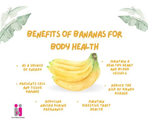 Sex 🍌 Dive Into The Delicious World Of Bananas And Unlock Their
