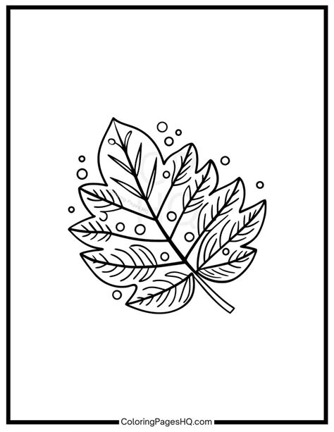 Leaf Coloring Pages Free Pdf Printables Coloring Pages Hq