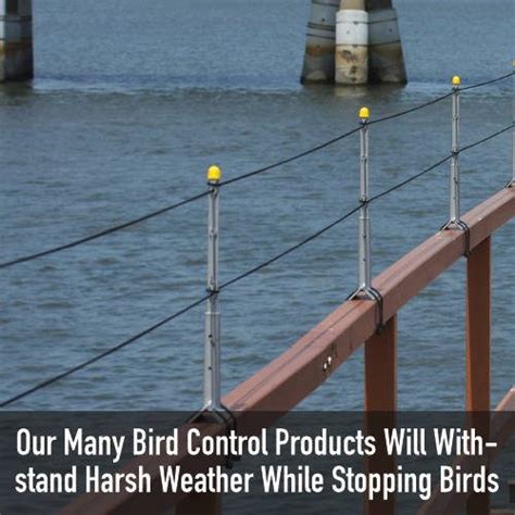 About Us Bird Barrier