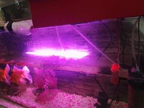 Aquarium Controlling And Monitoring Using Arduino 1sheeld