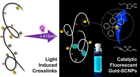 Fluorescent And Catalytically Active Single Chain Nanoparticles