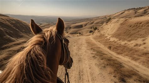 Thrilling Pov Horse Ride Experience The Majesty Of Equestrian