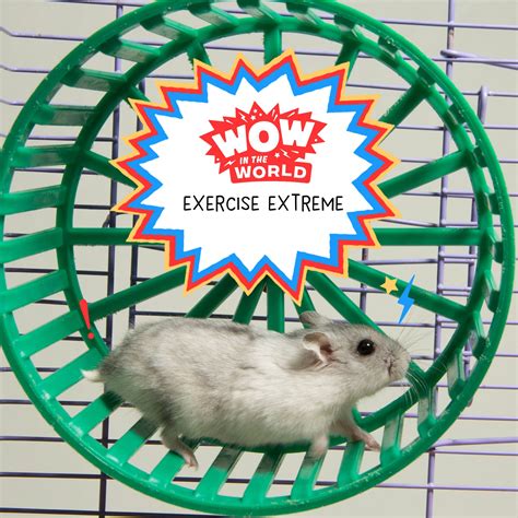 Exercise Extreme Tinkercast