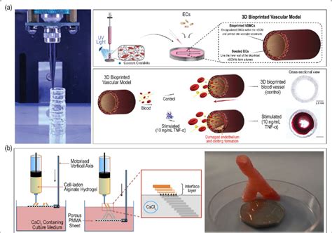 Fabrication Of Tubular Vascular Grafts Using A Layer By Layer Download Scientific Diagram