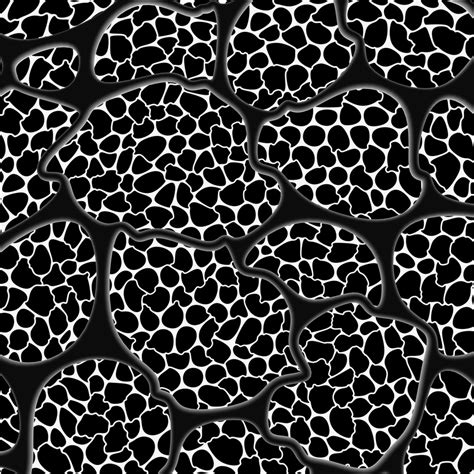 Organic Pattern Sphere Junelee Architecture