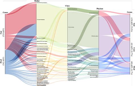 Figure 1 From Metabolic Pathway Prediction Of Core Microbiome Based On