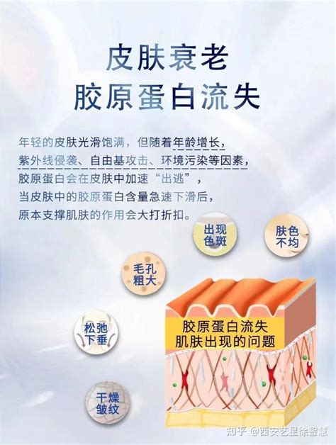 胶原蛋白注射干货与注意事项 知乎