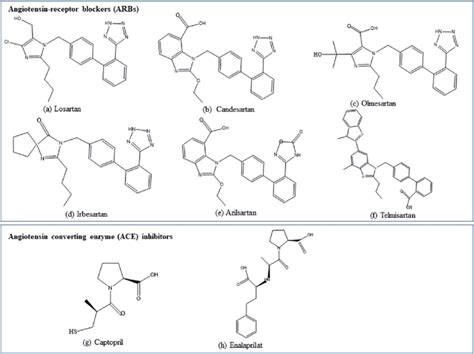Chemical Structures Of The Angiotensin Converting Enzyme Ace