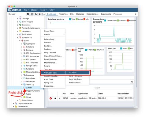 cpit 251 working with databases in java