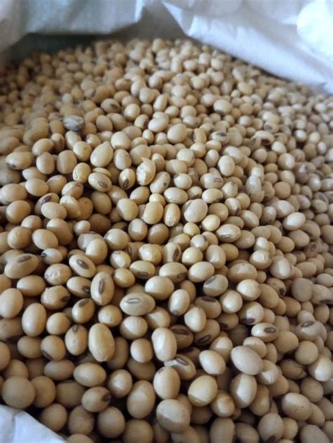 Chunks Soyabean Packaging Type Pp Bags At Best Price In Thane Hausu Exim