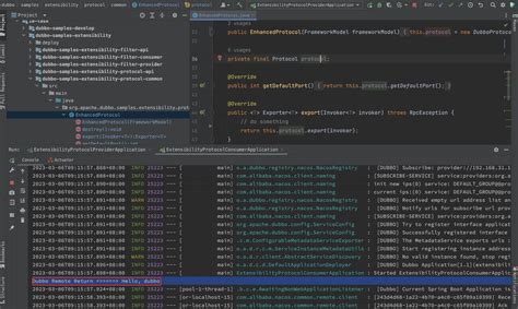 Protocol Apache Dubbo