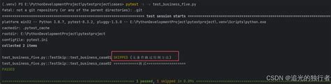 Pytest框架—使用pytestmarkskipskipif跳过用例pytestmarkskipif Csdn博客