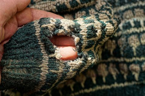 What Is Causing Small Holes In My Clothes Yqegz
