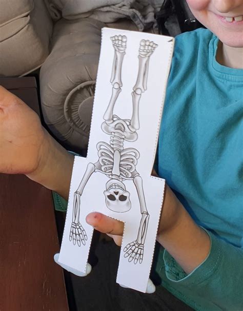 Balancing Skeleton Template Devon Science