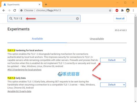 如何为主流网页浏览器启用和禁用 tls 1 3 支持 系统极客