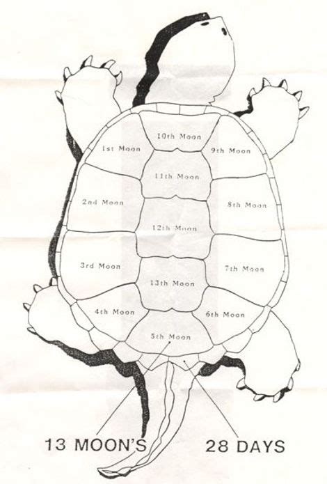 Oji Cree 13 Moons Teachings