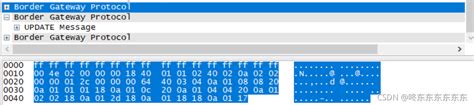 Wireshark抓包问题记录一——tcp Segment Data Csdn博客
