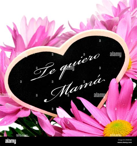 Te Quiero Mama