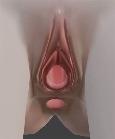 How To Model A Vagina Closed General Discussion LoversLab