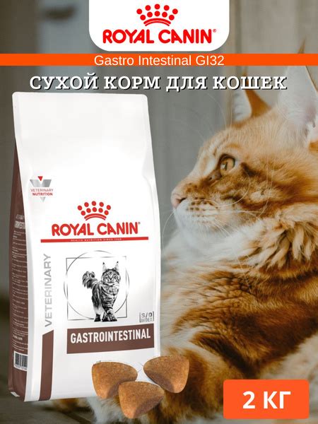 Сухой корм для кошек ROYAL CANIN GastroIntestinal GI32 при нарушении ...