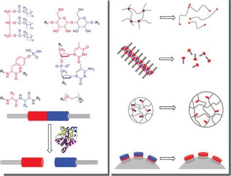 1 Left Chemical Structure Of Common Enzymes And Examples Of Molecules Download Scientific